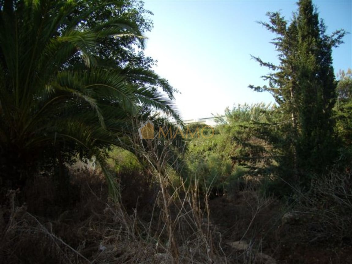 Plot measuring 7435 SqM in Santa Maria Estate Mellieha | Simon Mamo ...